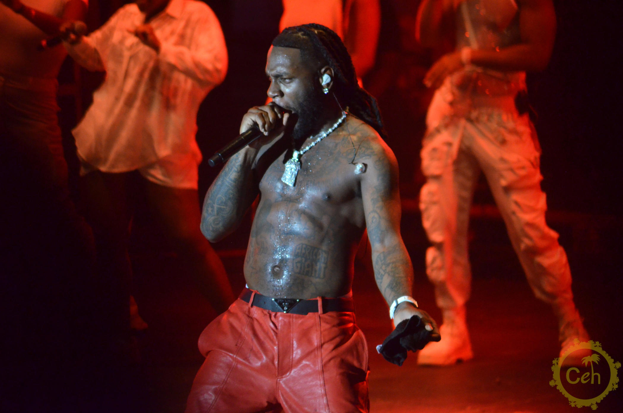 Burna Boys Love Damani Tour In Trinidad A Night Of Spectacular ...